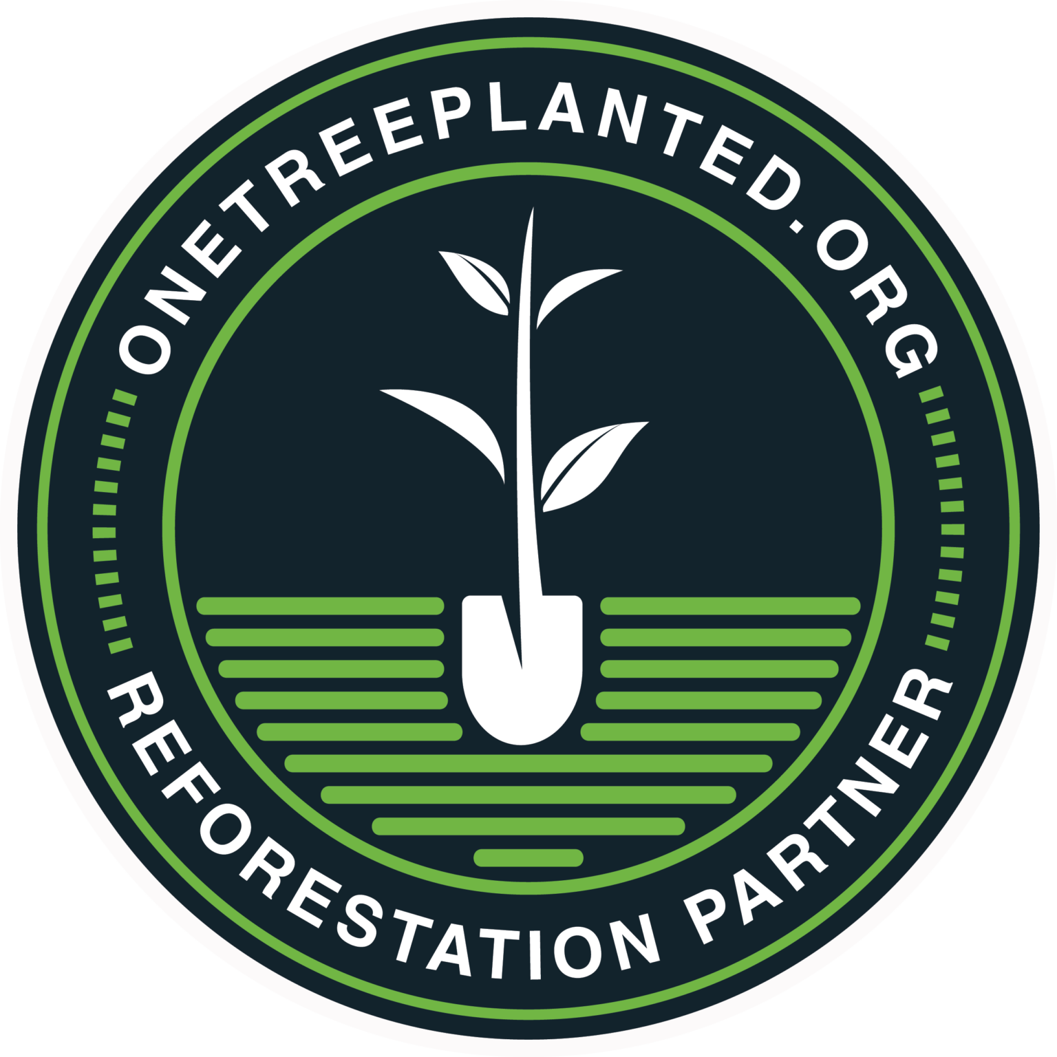 Oak Wilt Treatment & Prevention in Austin Texas | Oak Wilt Pros